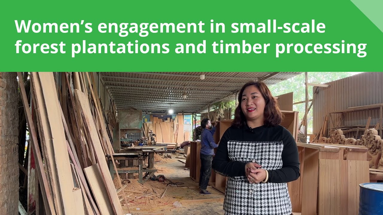 Women’s engagement in small-scale forest plantations and timber processing