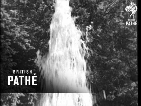 Cineviews In Brief No. 12 (1937)