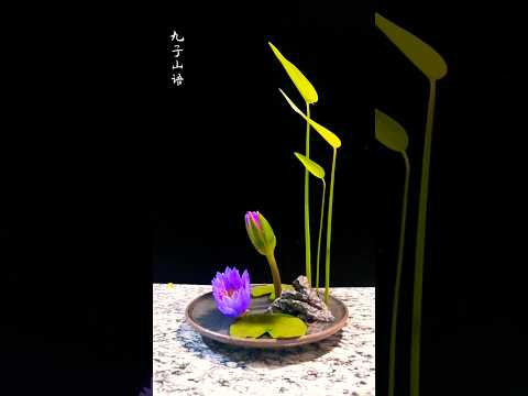 Water Lily Arrangement - The Art of Ikebana #flowerarrangement #ikebana #artisticflowers #waterlily
