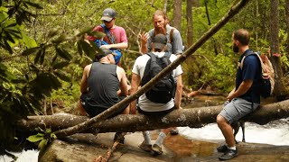 Next Step Recovery, Inc. - GuideStar Profile