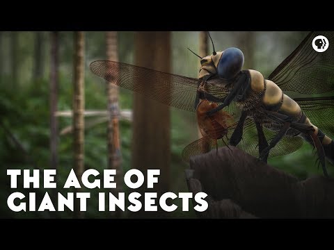 Giant Prehistoric Insects Ruled Earth Before the Dinosaurs