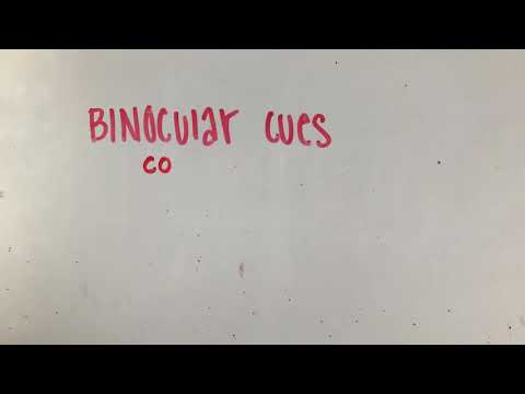 AP Psychology: binocular and monocular cues