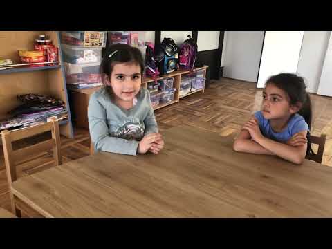 I can project. «Ես կարող եմ» նախագիծ. ամփոփում — Ալինա Աղասյան