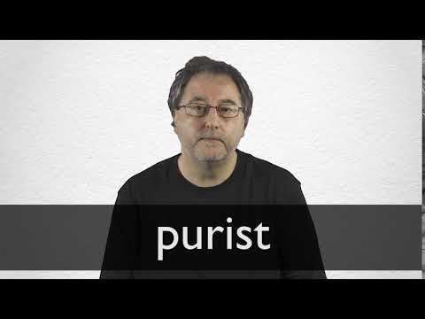 PURIST definition and meaning | Collins English Dictionary