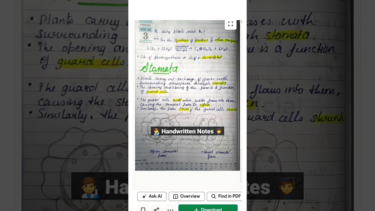 Handwritten Notes of all Subjects ⏰📒📚 #handwrittennotes #notes #studynotes