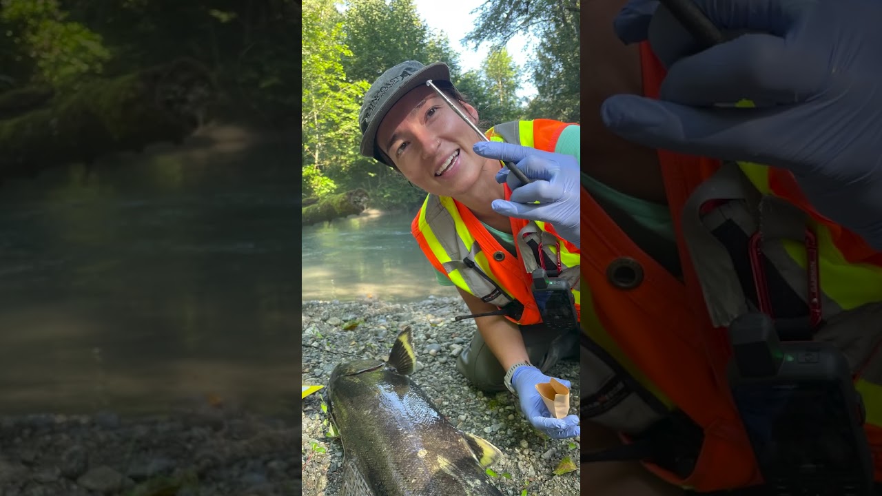 Nature on the Hill 2024 Recap