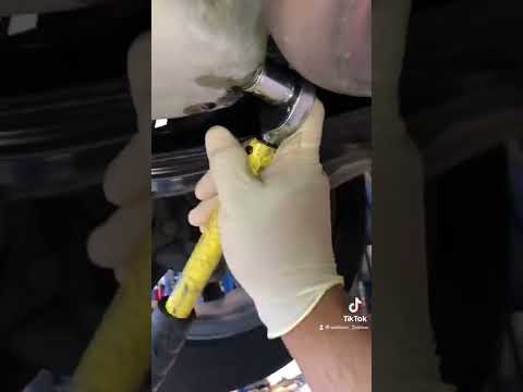 Never forget to torque the drain bolt! / Tips from a Honda tech vol. 2