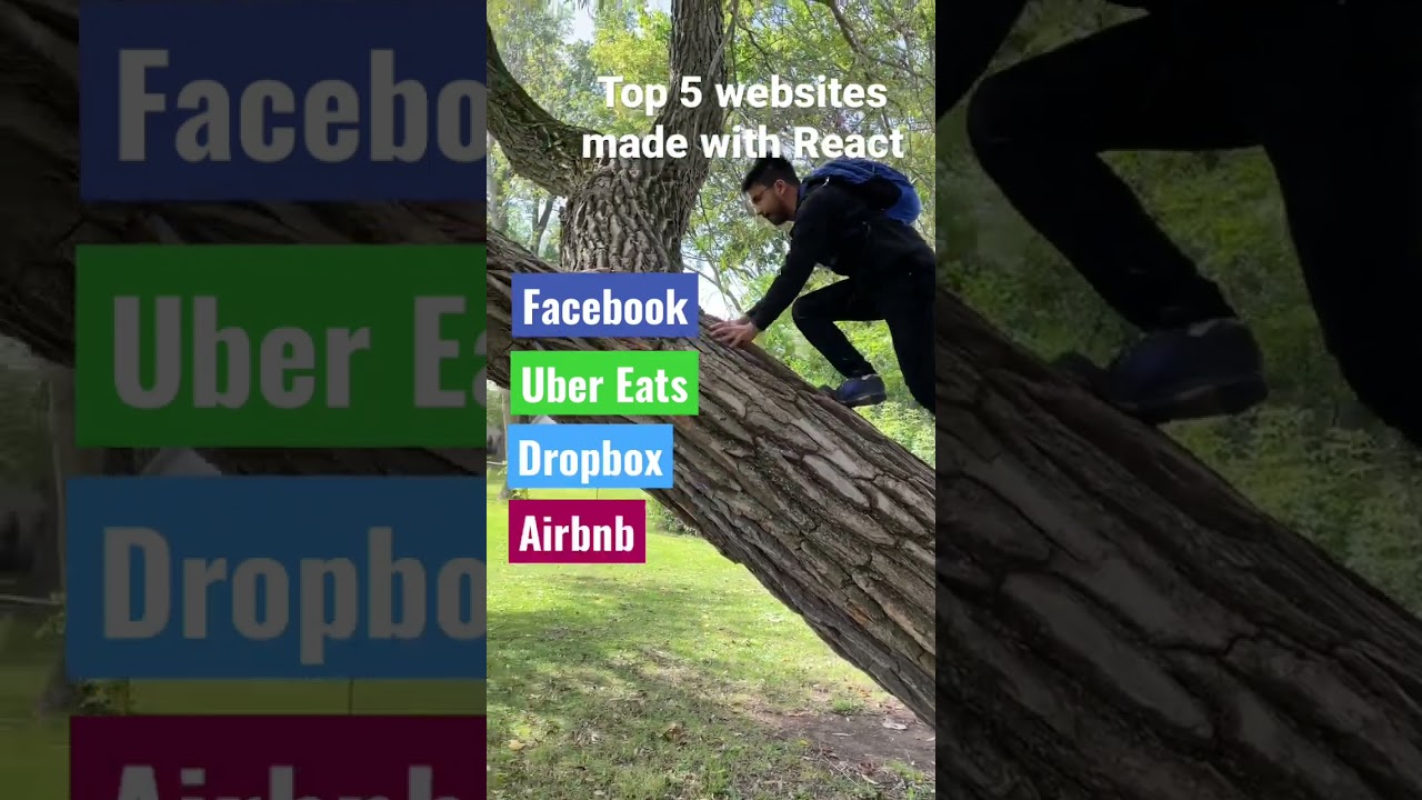 Top 5 Websites Made With React