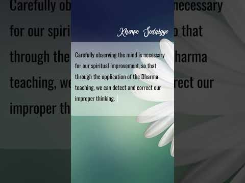 Using the Dharma Teaching as a Mirror of the Mind#buddhism