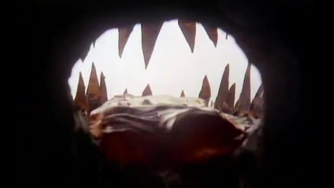 Wolf eats people (SVAKS)