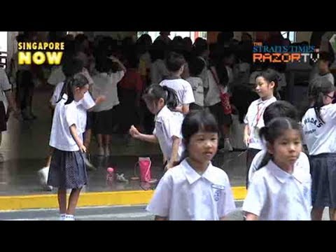 7 IP schools revealed (New Education Schemes Pt 1)