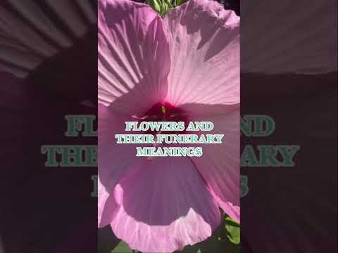The Meanings of Flowers in Deathcare.