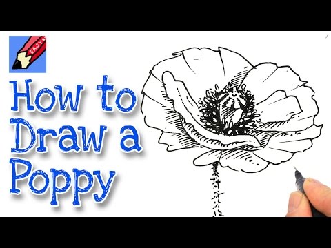 How to draw a poppy real easy – Shoo Rayner