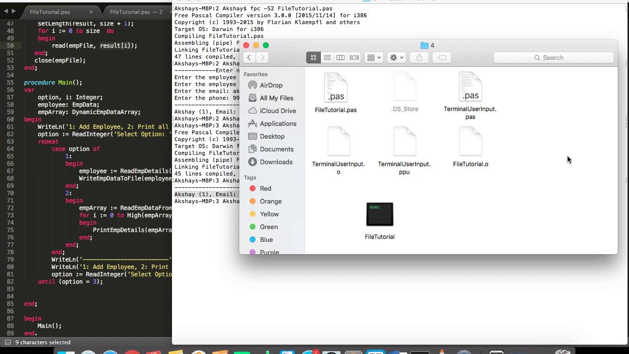 Pascal File Handling Tutorial: Using Binary Files