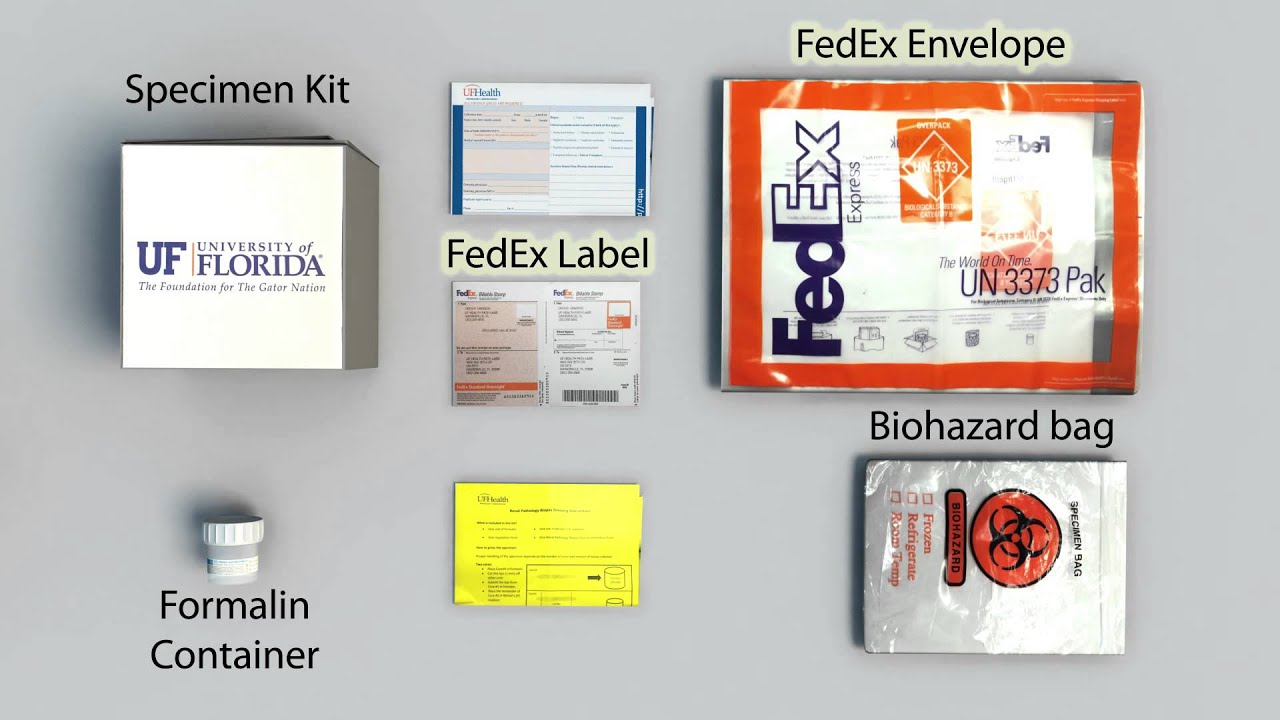 UF Health Pathology Laboratories Nerve Specimen Collection and Handling Tutorial