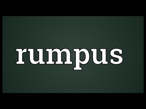 Rumpus Meaning