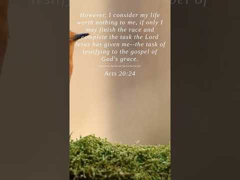Bible | Acts 20:24 | However I consider my life wor...