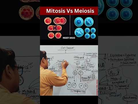 Difference between Mitosis and  Meiosis. #neet2025 #nursing #celldivision