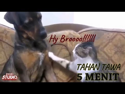 Bokep vs hewan | Видео