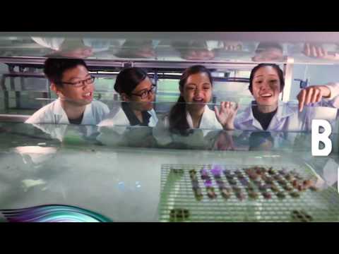 Discover Your Potential at Republic Poly!