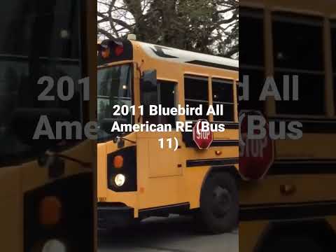2011 Bluebird All American RE (Bus 11)