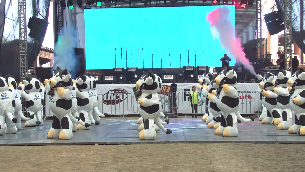 EL SHOW DE MANCHAS DE ALPURA EN LA JUSTA POZOLERA 2019.