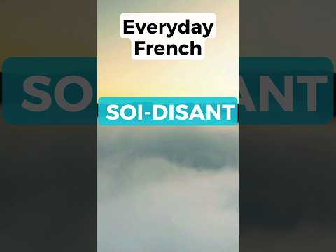 How to use SOI-DISANT in French #shorts