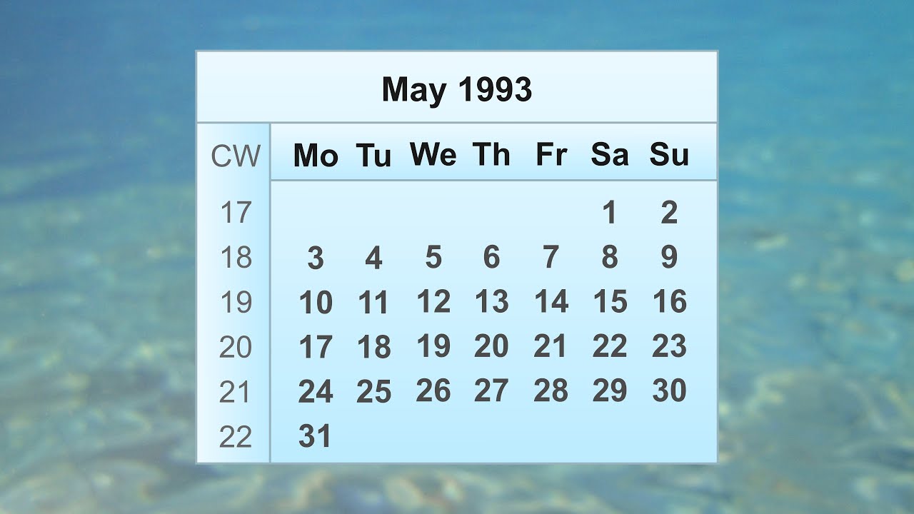 May 1993 Calendar