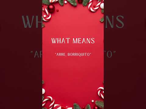 What means Arre, Borriquito ? #shorts