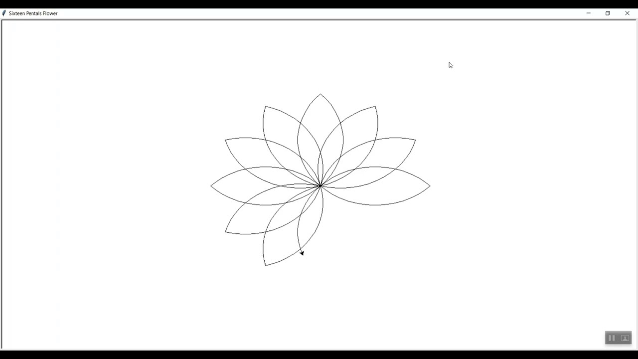 The Petals Flower Turtle with Python #python #visualstudio