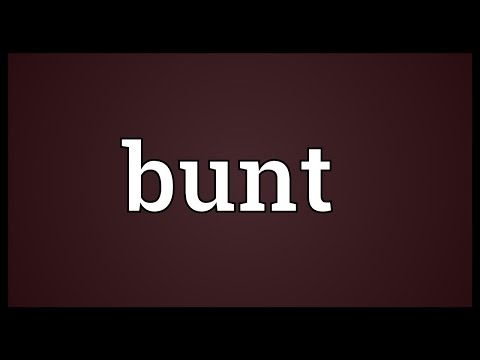 Bunt Meaning