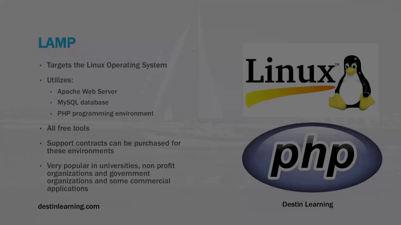 Java or .NET or Something Else?