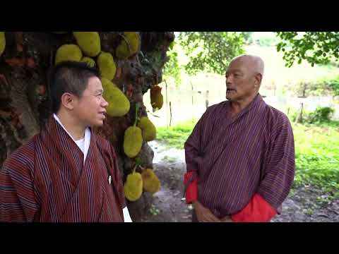 The Sacred Jackfruit