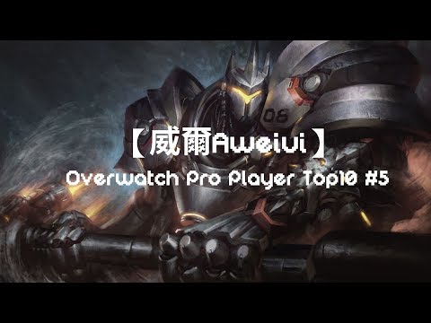 【威爾Aweiui】Overwatch Pro Player Top10 #6 feat.觀眾和自己