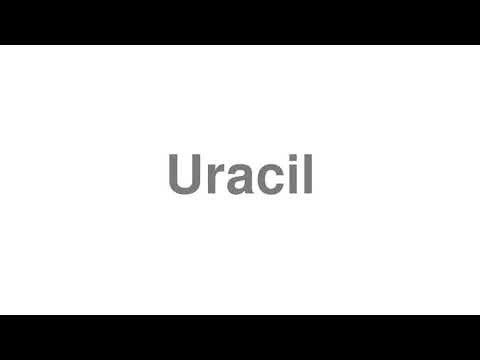 How to Pronounce "Uracil"