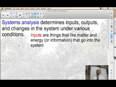 APES 2 1 Feedback and Systems