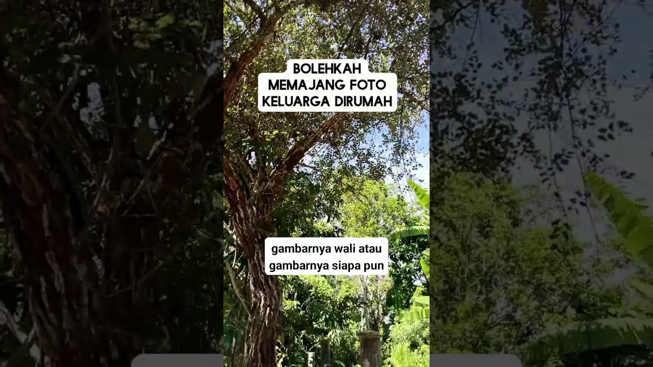 Is it permissible to display family photos in the house?