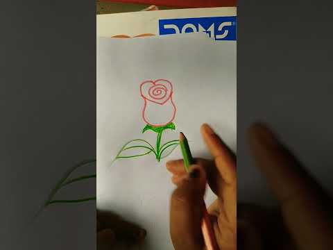 rose flower drawing essay pencil #simple rose flowers drawing phool #astrology #pencil #stepbystep 🙏