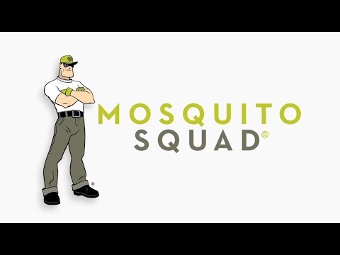 Pest Control Services In The Woodlands Texas