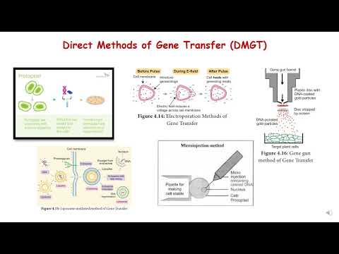 Direct Methods of Gene transfer #transgenics #GMO #botanylifescience #biotechnology