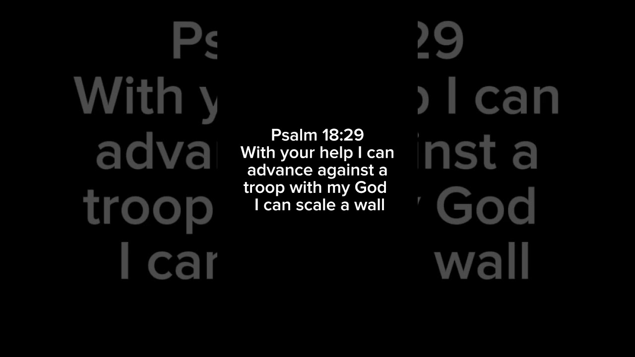 Psalms 18:29
