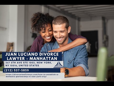 How to Establish a Domestic Partnership in New York City? by Juan Luciano