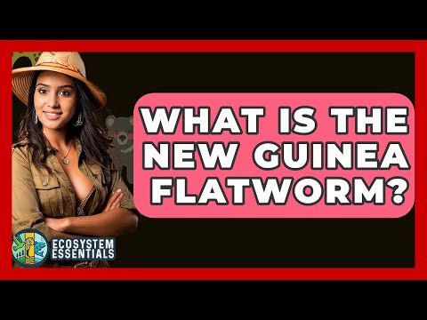 What Is The New Guinea Flatworm? - Ecosystem Essentials