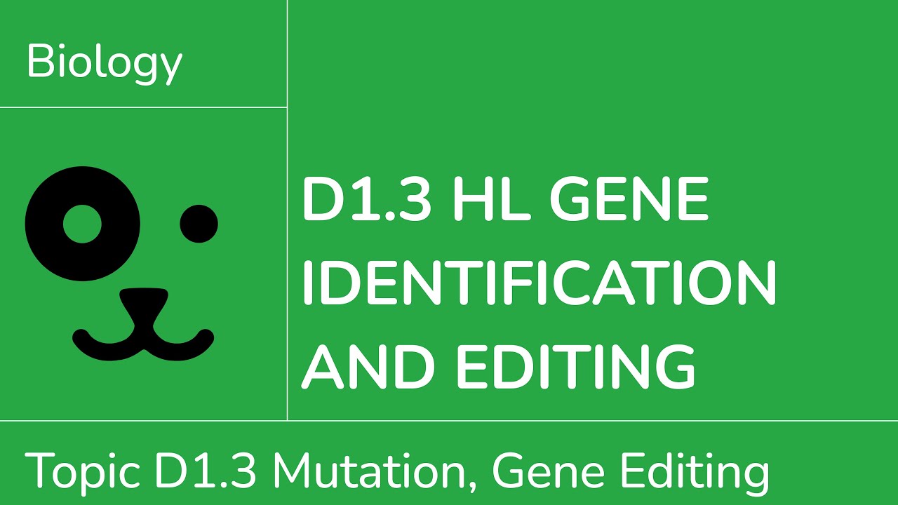 D1.3. HL Genetic Modification [IB Biology HL]