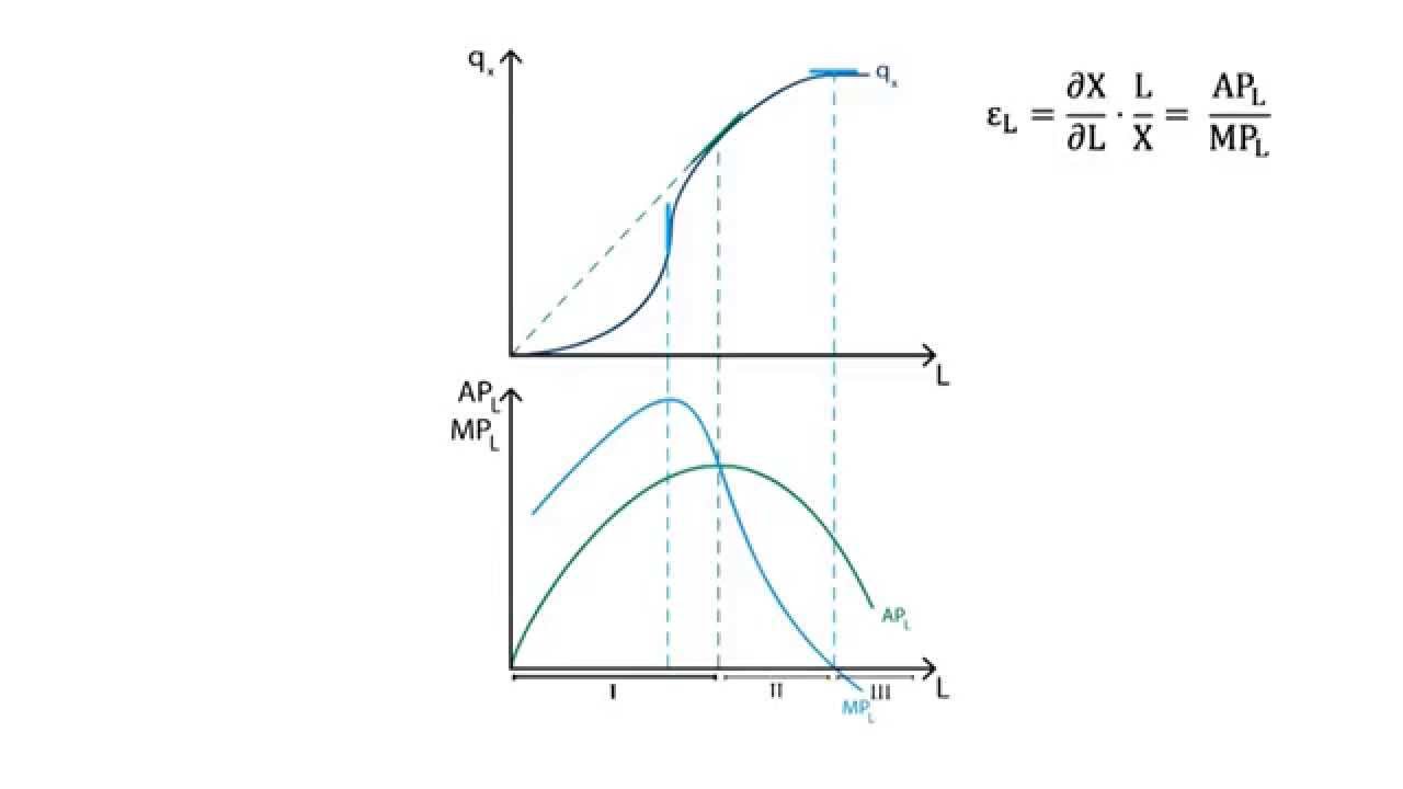 B.11 Production in the short run | Production - Microeconomics