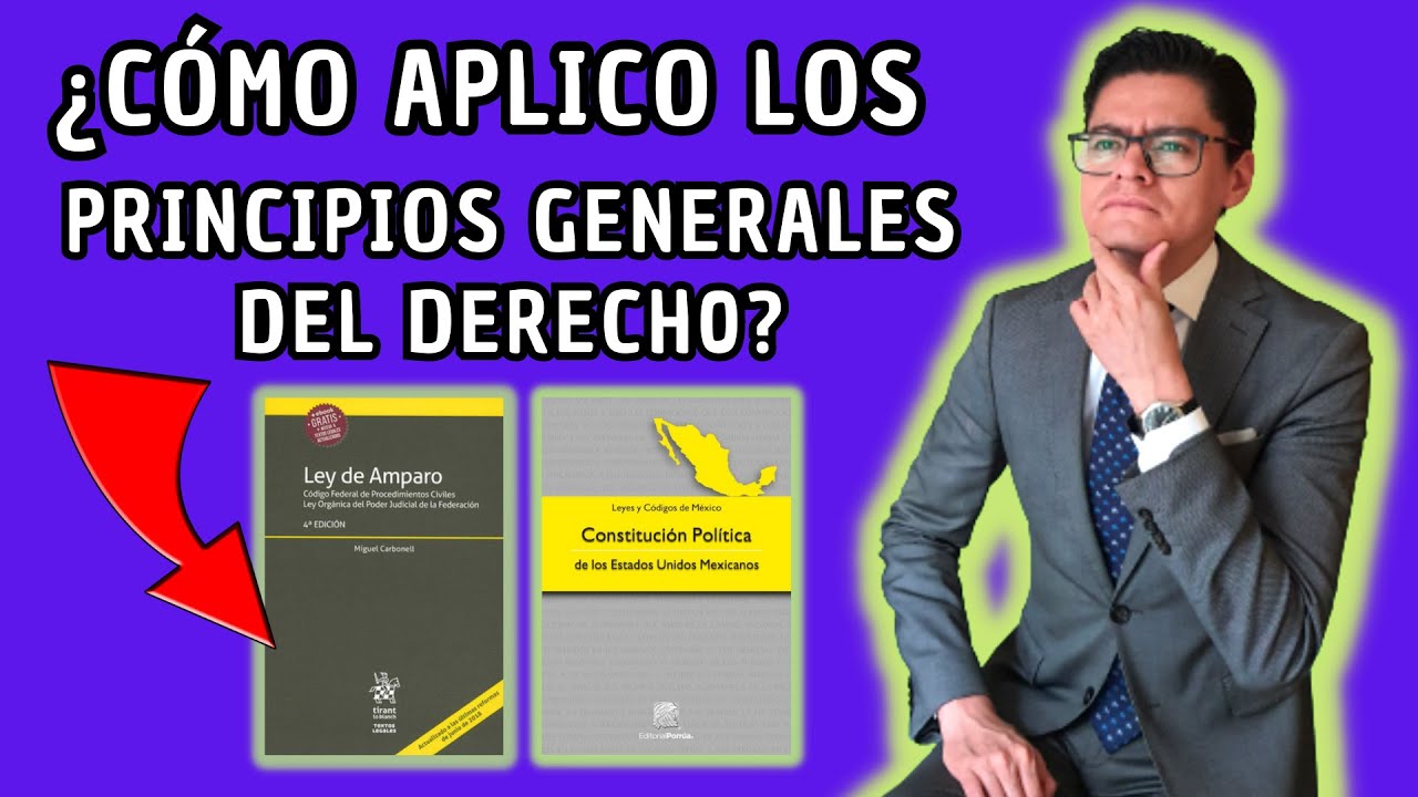 ¿CÓMO USAR LOS PRINCIPIOS GENERALES DEL DERECHO?