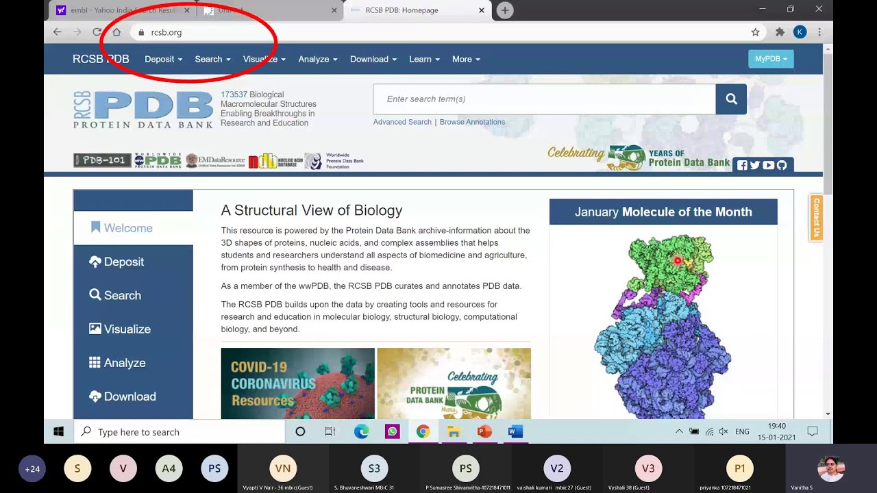 Sequence alignment of Protein using BLAST Power point presentation