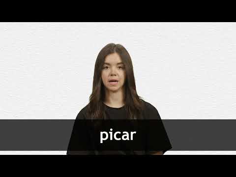 English Translation of “PICAR” | Collins Spanish-English Dictionary