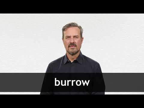 How to pronounce BURROW in American English