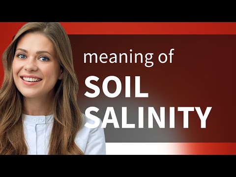Understanding Soil Salinity: A Simple Guide